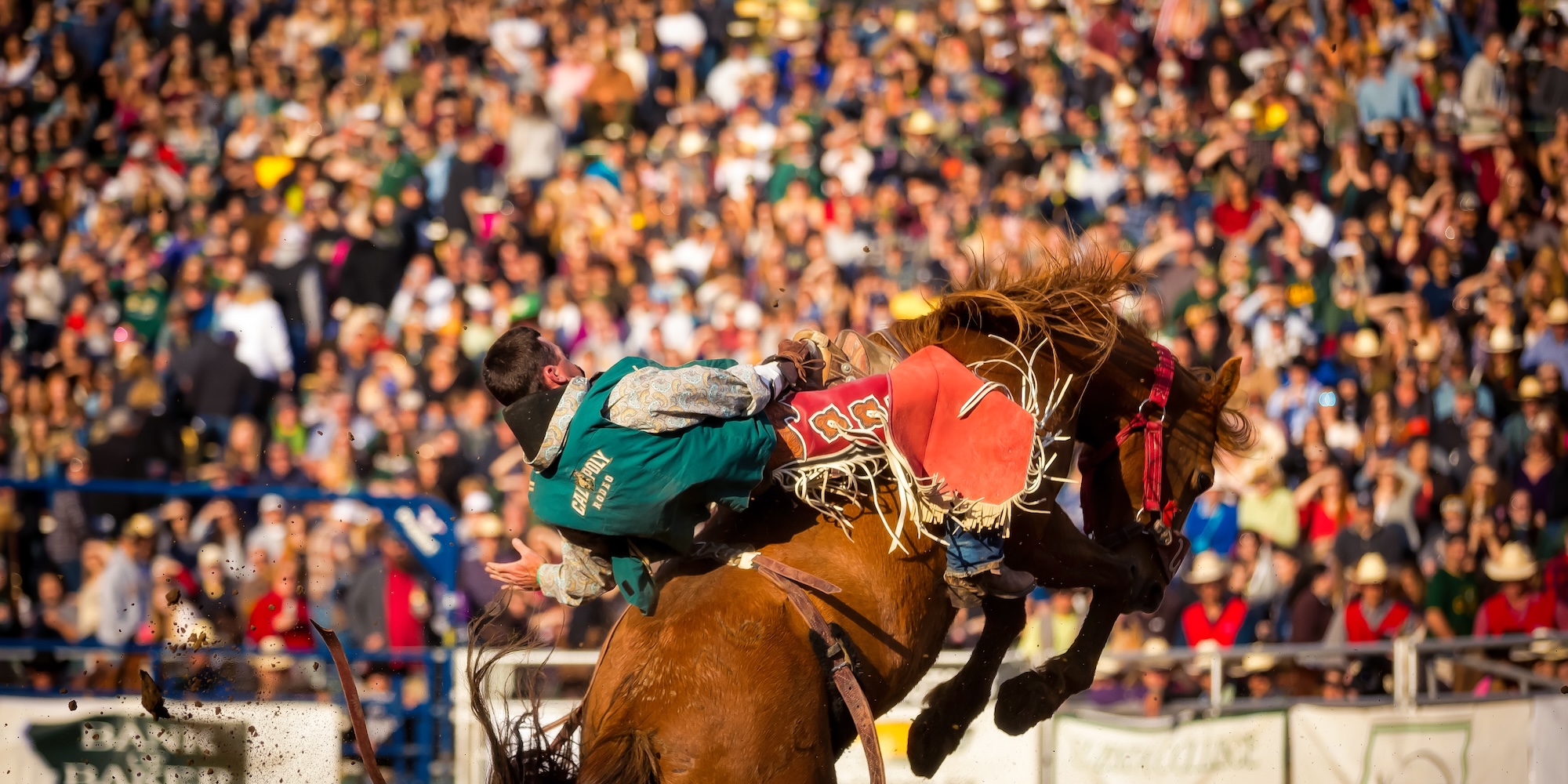 Tickets For Annual Poly Rodeo Go On Sale Today 02.11.2026 - KPRL Radio ...