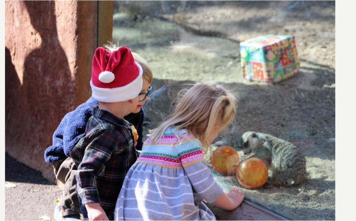 Holiday Magic at Charles Paddock Zoo 12.17.2021 - KPRL Radio 1230AM ...